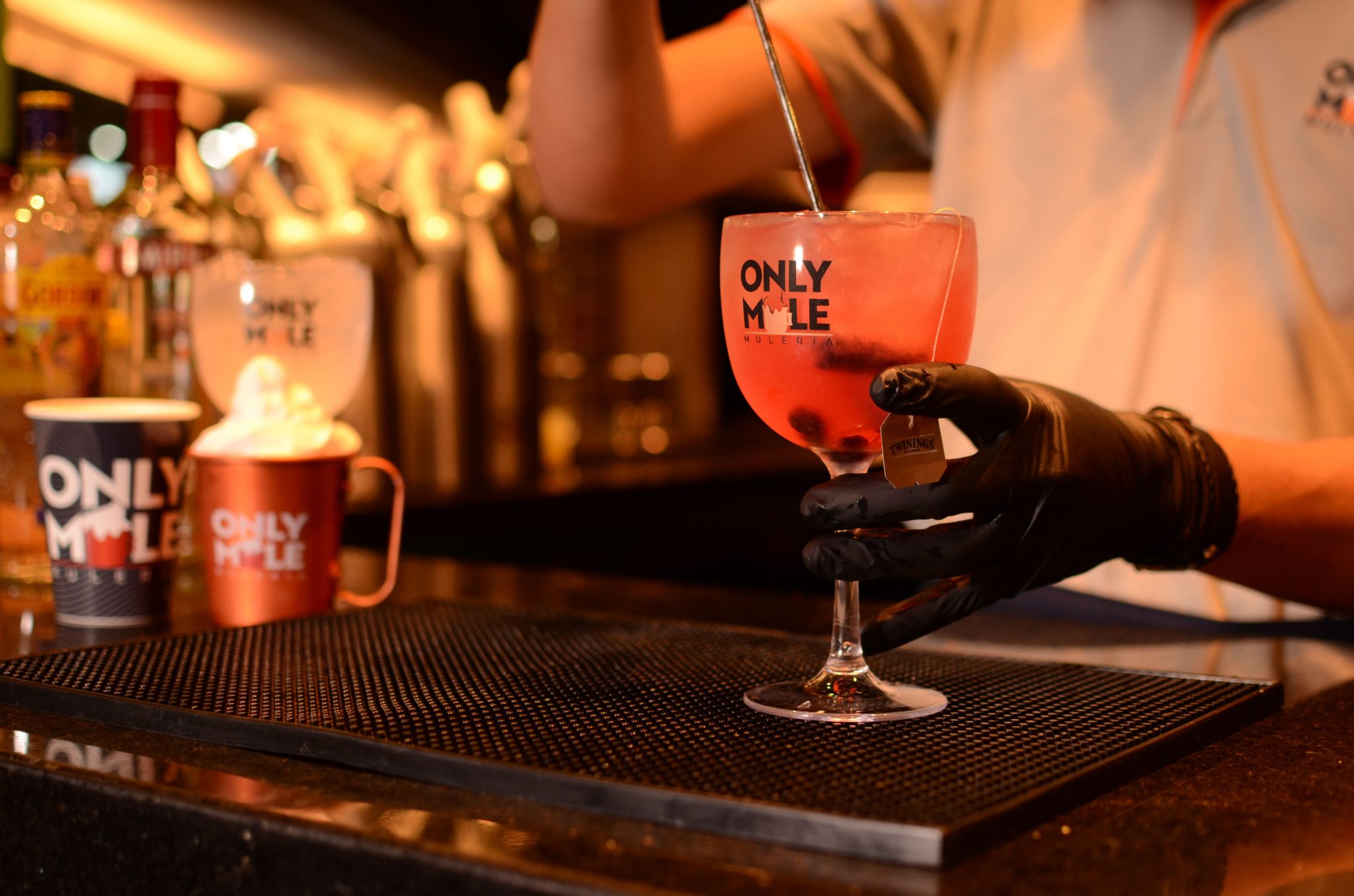 Gin Tônica: receitas deliciosas da Only Mule para aproveitar!